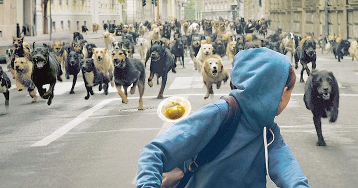 Top Hungarian films in recent years