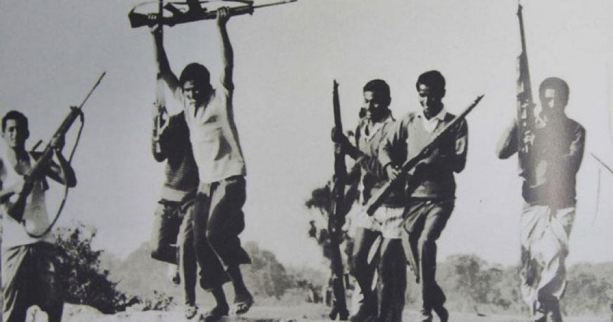 'Freedom Fighters' defined for the first time