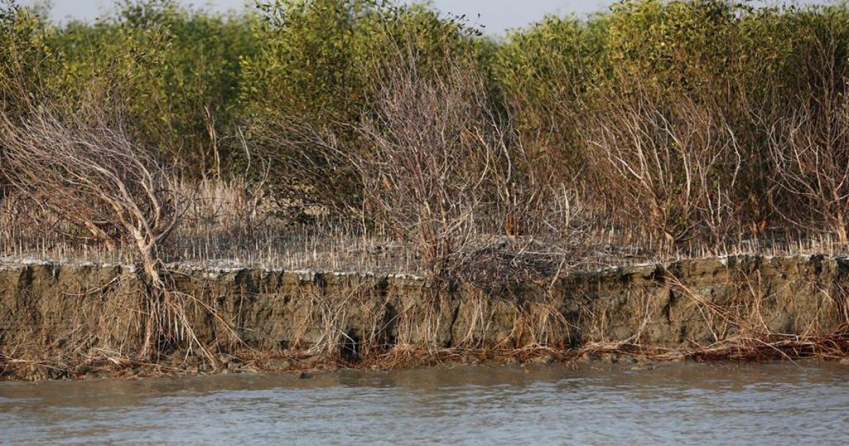 Bhashan Char: A case of mistaken identity