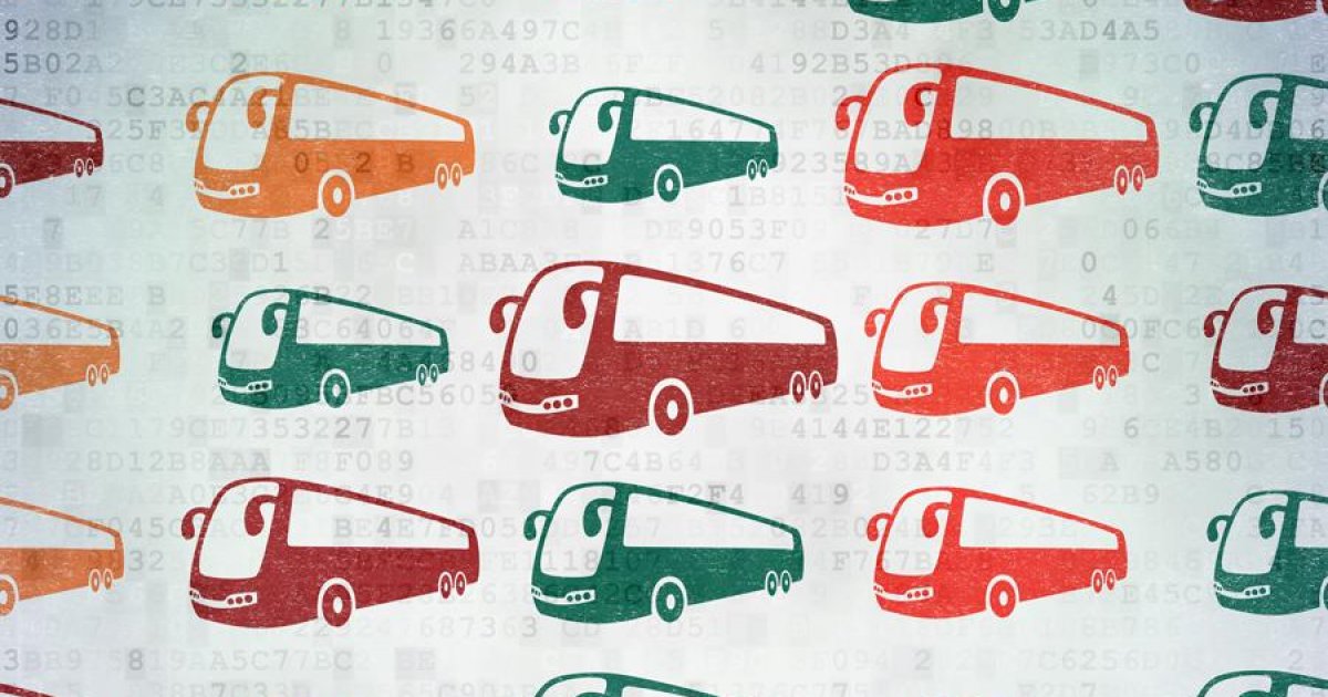 What is the future of the colour-coded bus service?