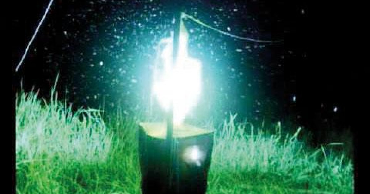 Light trap method becoming popular among farmers in Chittagong