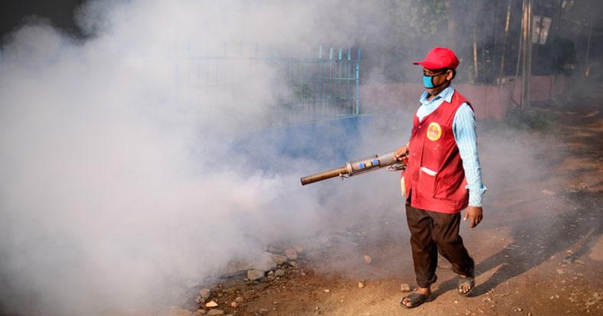 City corporations bringing in insecticide sample for mosquitoes