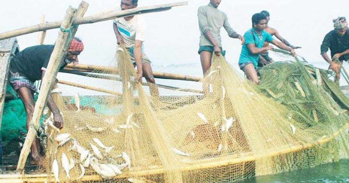 30-ton fish fry to be released in Kaptai Lake