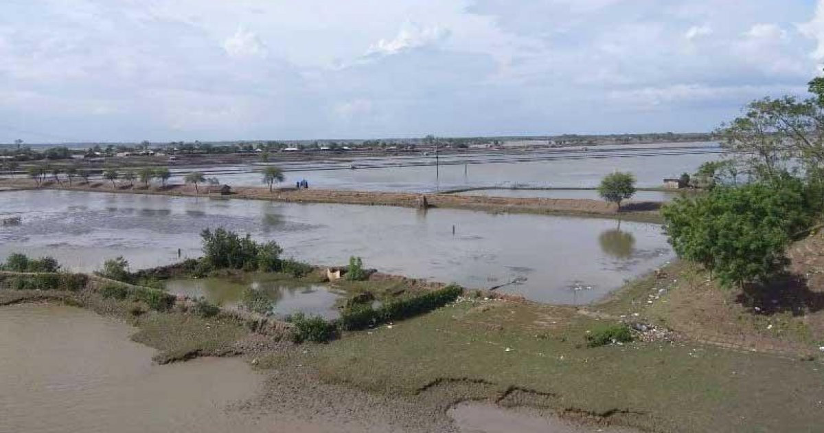 Climate change fueling coastal salinity in Bangladesh