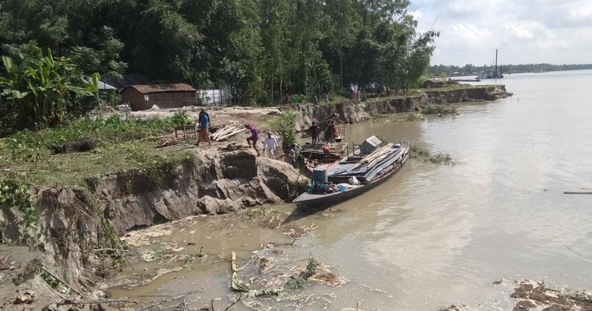 Jamuna erosion hits Tangail's Kalihati again