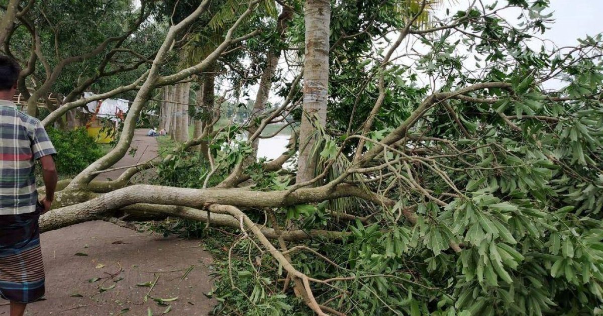 Cyclone Amphan: Death toll rises to 26