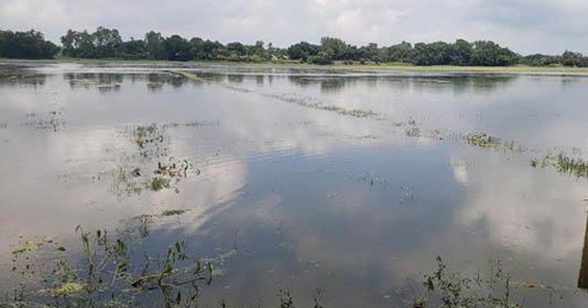 Floodwater continues receding in Ganges basin
