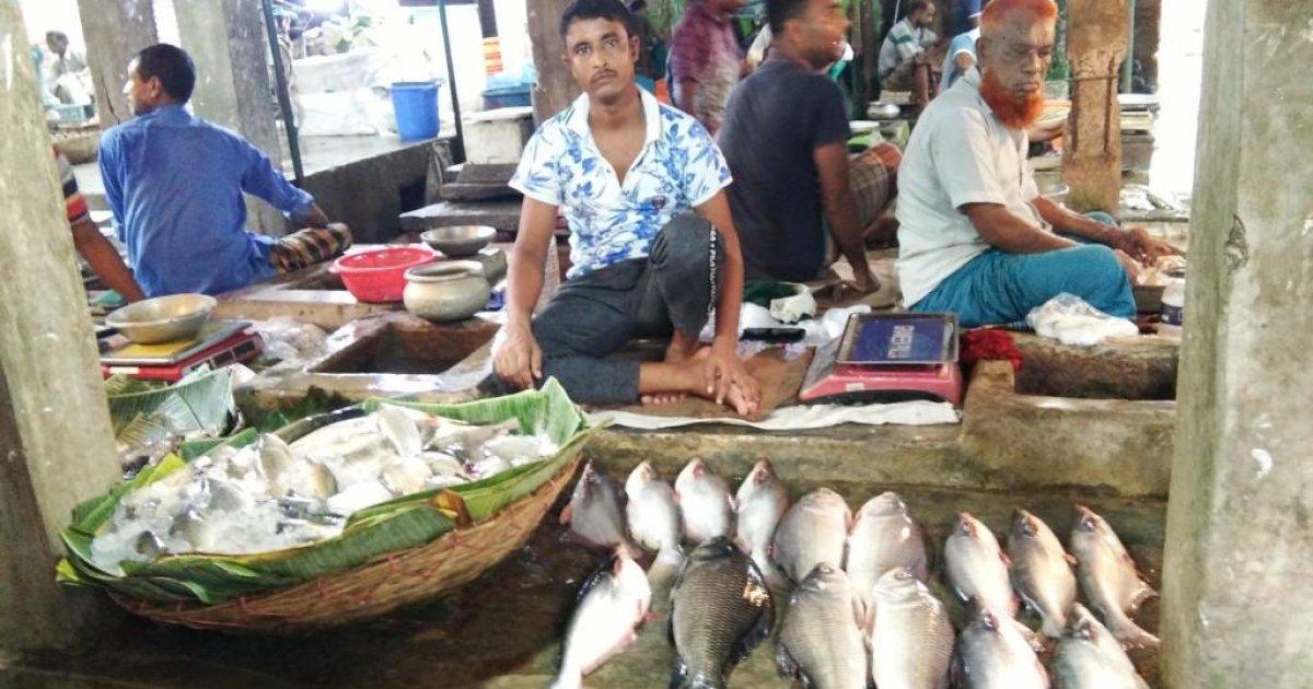 Jessore fish farmers demand ban on fish import from India