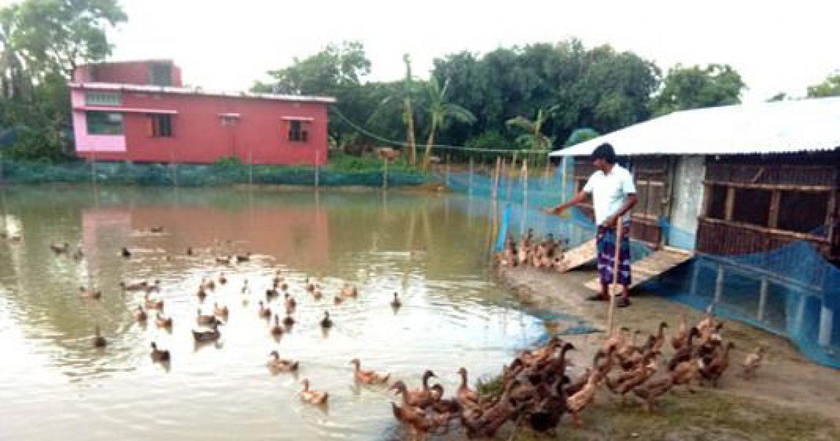 Composite farming brings smiles on faces of fish growers in Rajshahi