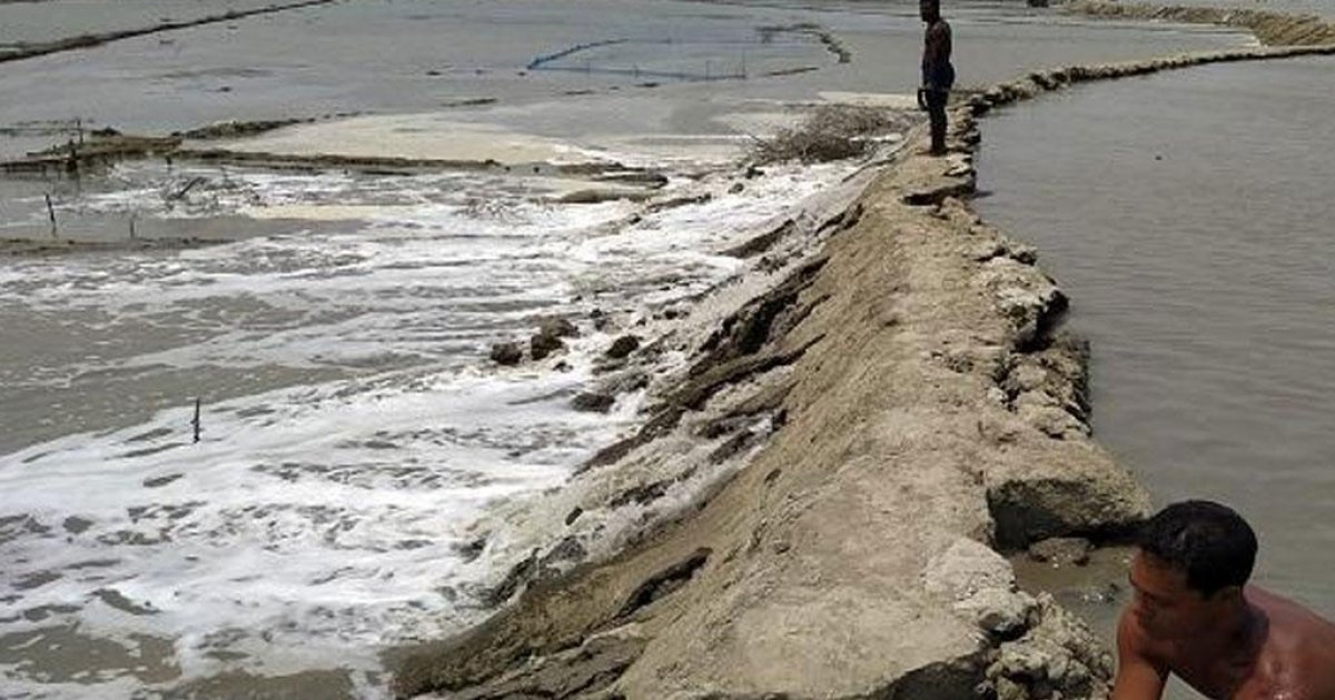Embankment breach at Koyra: Saltwater intrusion worries coastal people ...