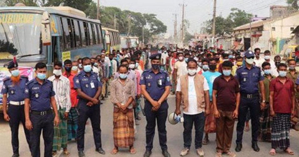 Jobless workers in Gaibandha being sent to haor districts to harvest ...