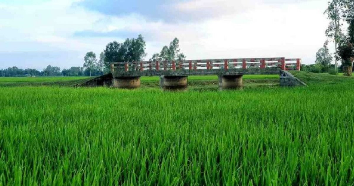 Useless bridge only serves to amuse teens