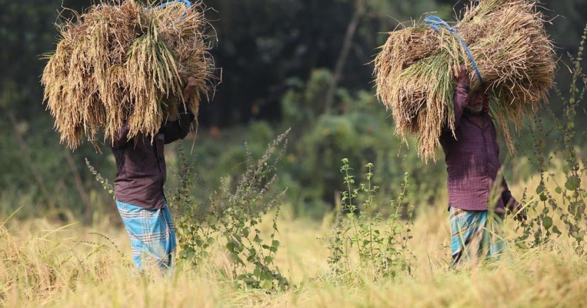 IFAD Bangladesh sign financing agreement for $31m project to diversify ...