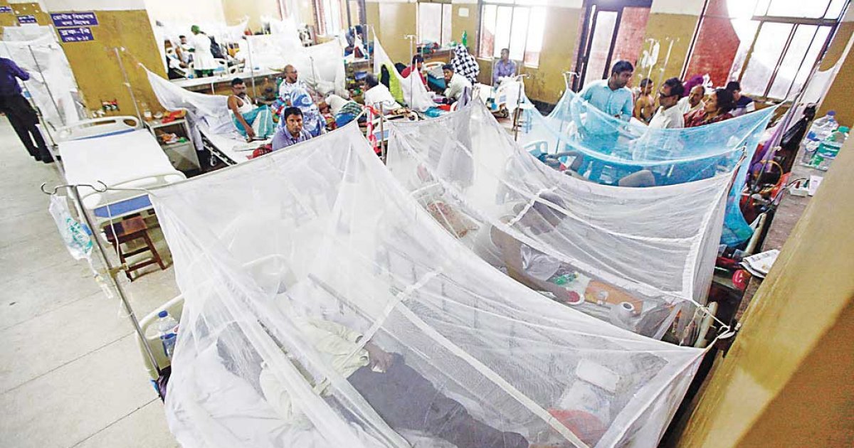 Dengue: Death toll rises to 20
