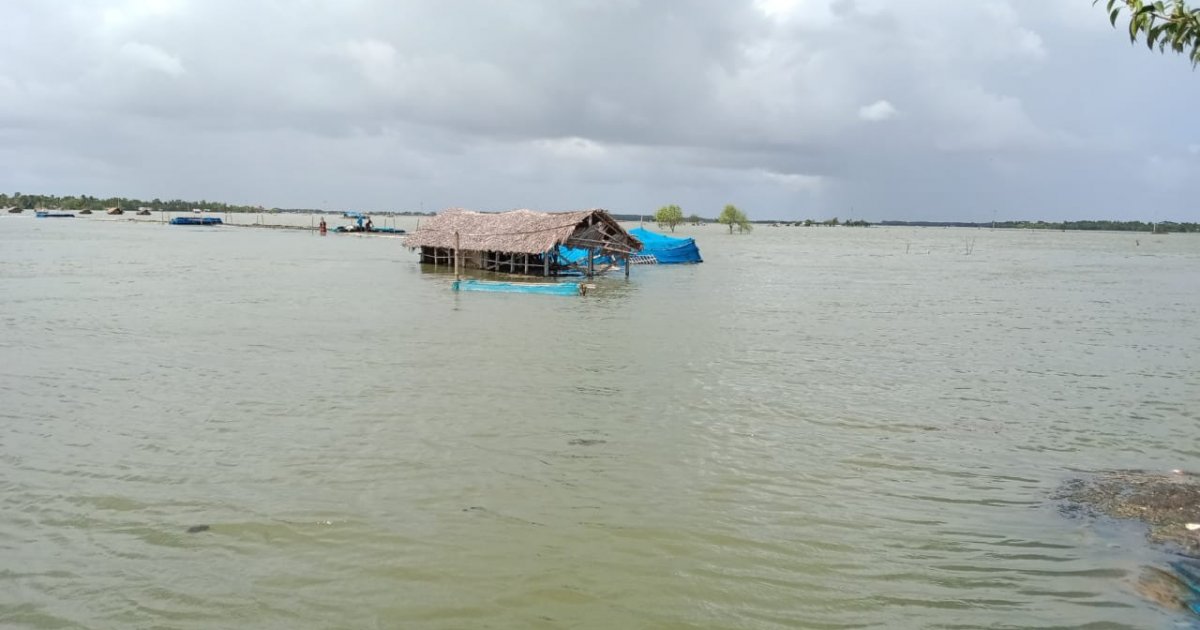 Satkhira flood washes away 8.46C worth of fish, crab, shrimp