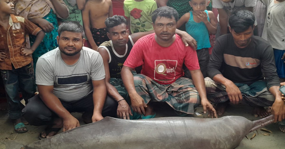 ‘Shushuk’ weighing 100kg recovered in Tangail