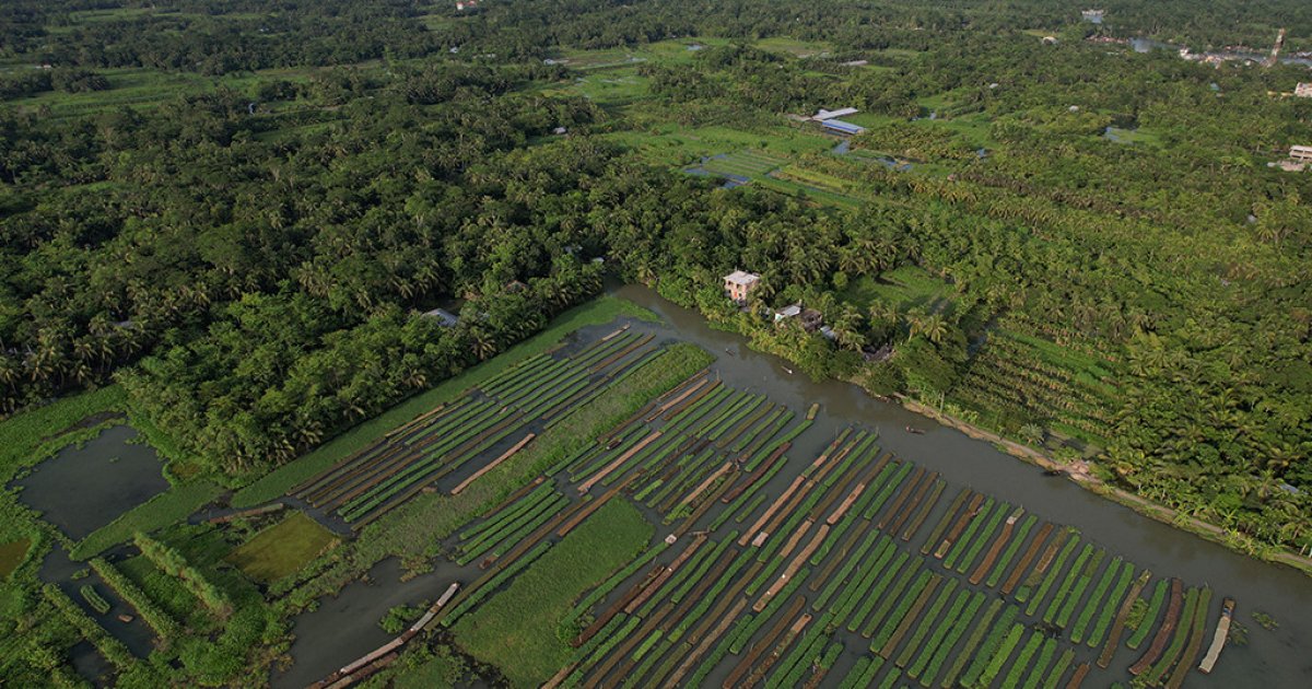 SAJIDA Foundation, BAT launch Climate Innovation Fund in Bangladesh