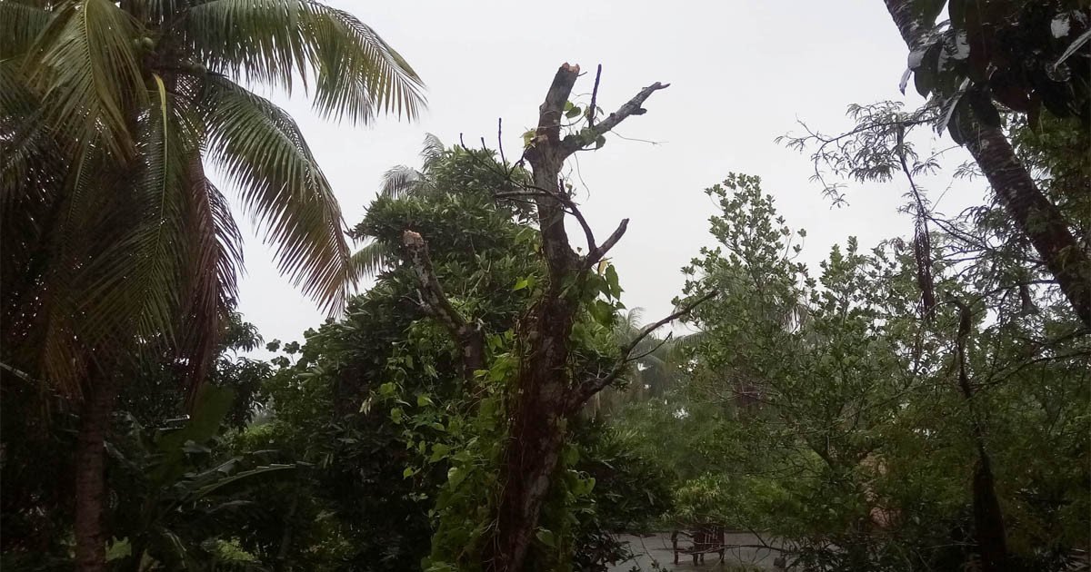 Bhola needs more cyclone shelters as survivors recall horrific night of ...