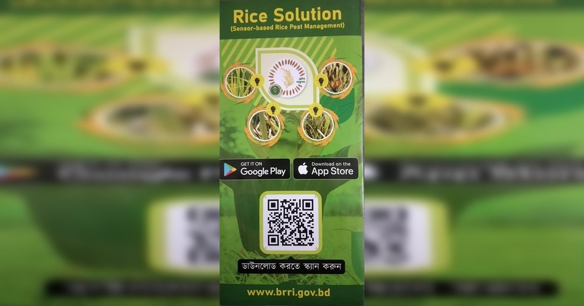 BRRI launches 'Rice Solution' mobile app