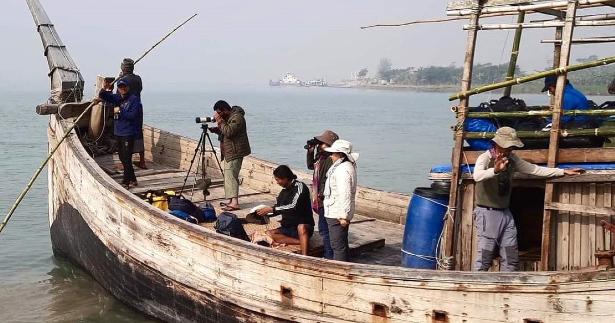 Coastal bird census begins in Bhola