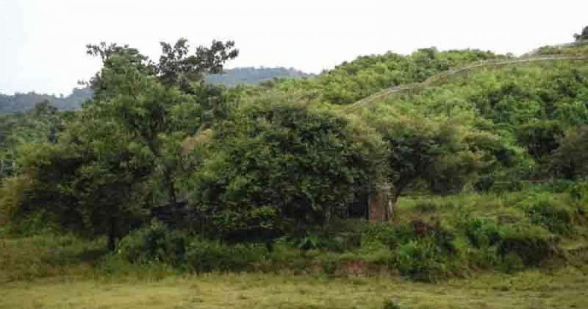 Firing at Ghumdhum border triggers panic in residents Firing at Ghumdhum border triggers panic in residents