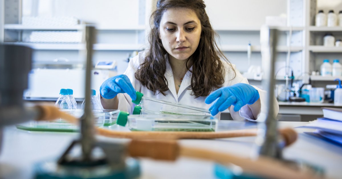 British Council launches scholarships to support women to pursue STEM ...