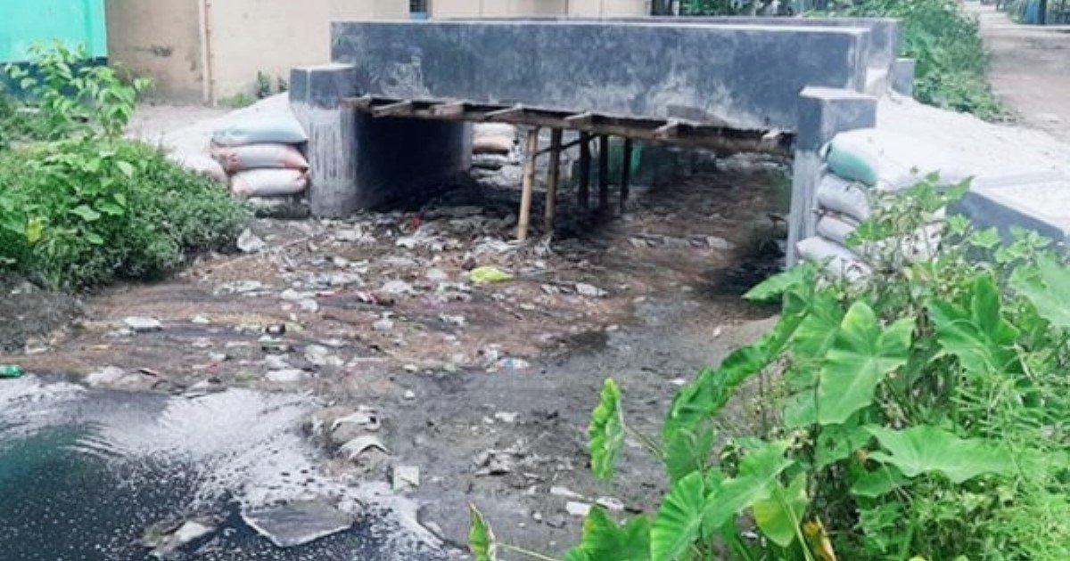 Rice mill waste pollution goes unchecked in Kushtia