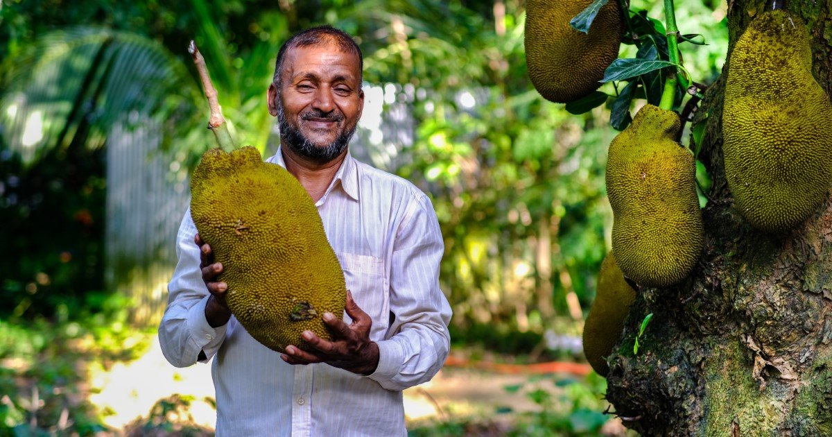 Jackfruit takes its place among region’s special agricultural products