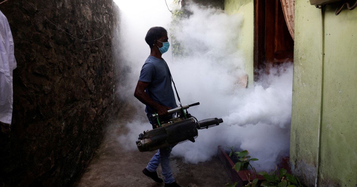 Mosquito control: No progress in DSCC plan to use Bti bacteria