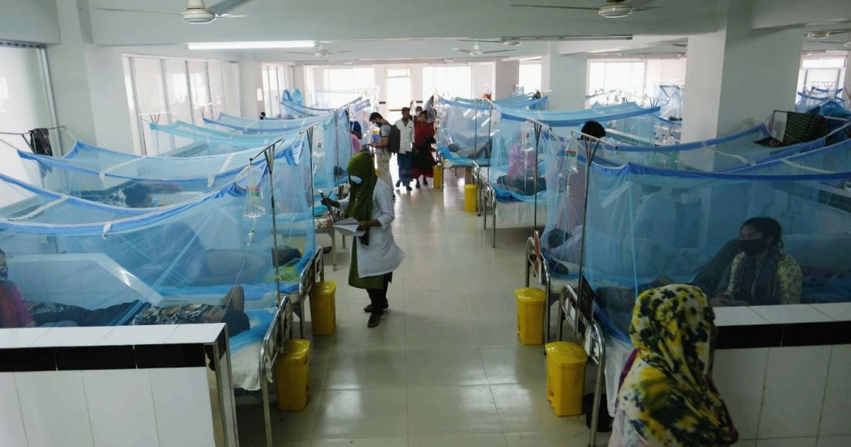 Dengue: 5 more die; 534 hospitalized in 24hrs