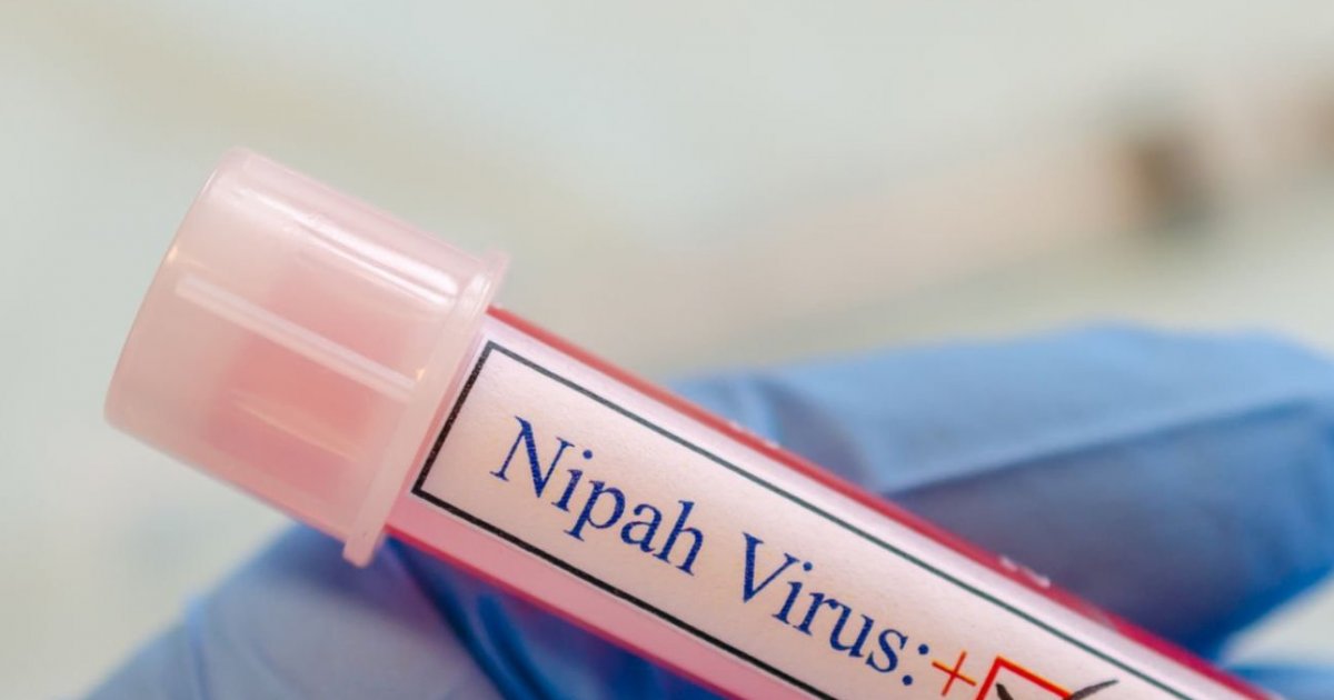 Nipah virus claims 10 lives in 2023, highest toll in 7yrs