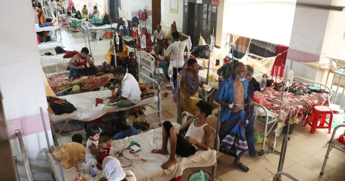 November records highest dengue deaths in 2024