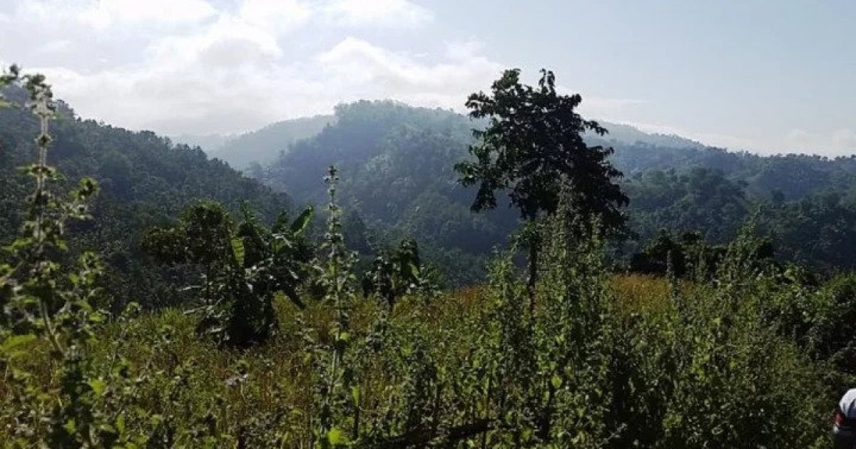 4 UPDF activists killing: Daylong strike-blockade underway in ...