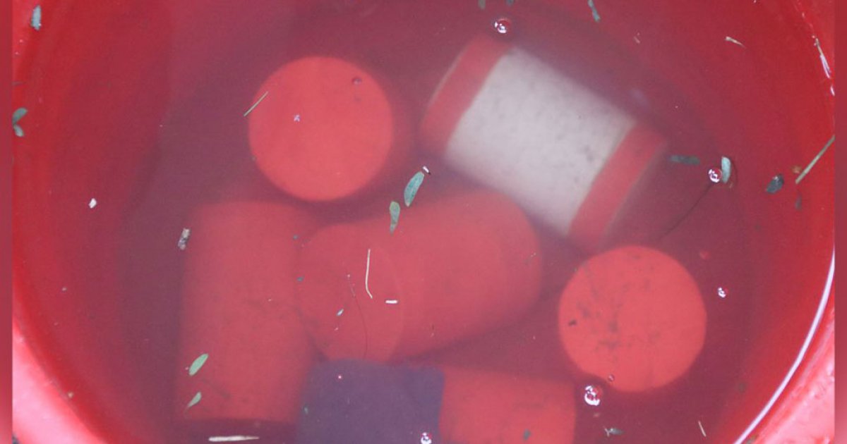 Six crude bomb-like objects found at Islami University campus