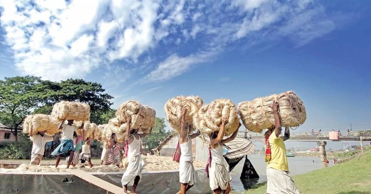 Demand for Khulna's raw jute increases in India, Pakistan