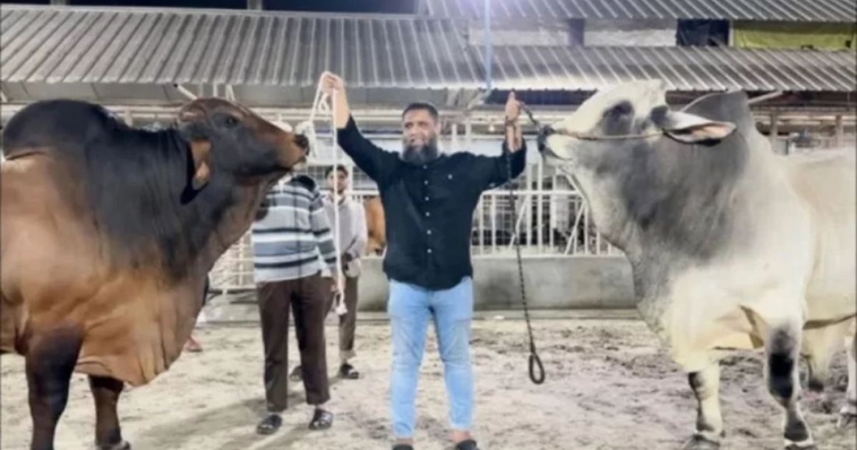 CID: Sadeeq Agro sold domestic cattle falsely advertised as foreign breeds