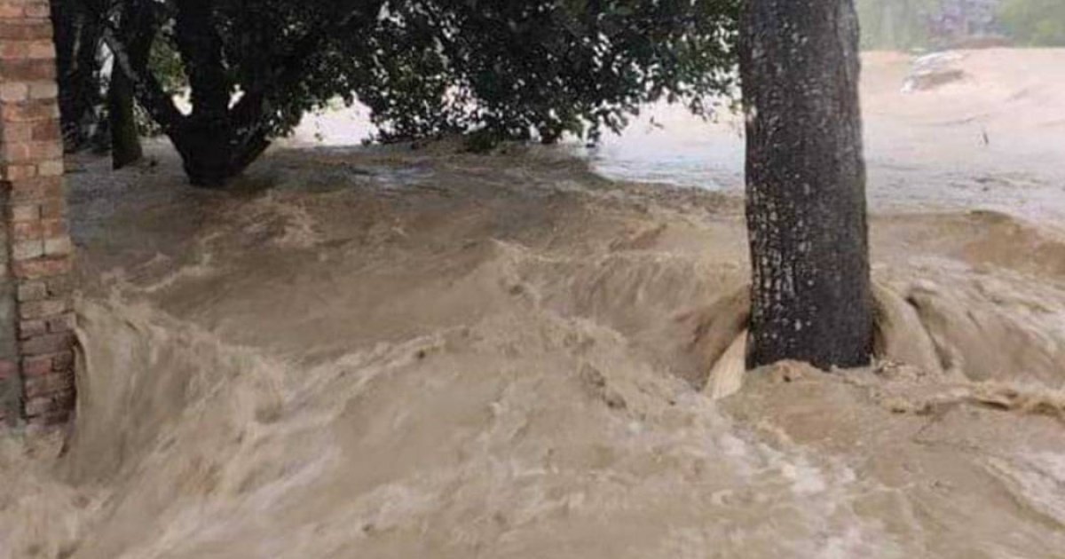 Sherpur hit hardest as 67,000 families stranded in Mymensingh floods