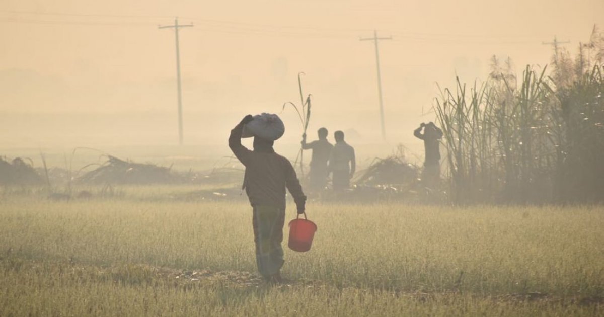 Met office: Bangladesh may face 10 cold waves this winter