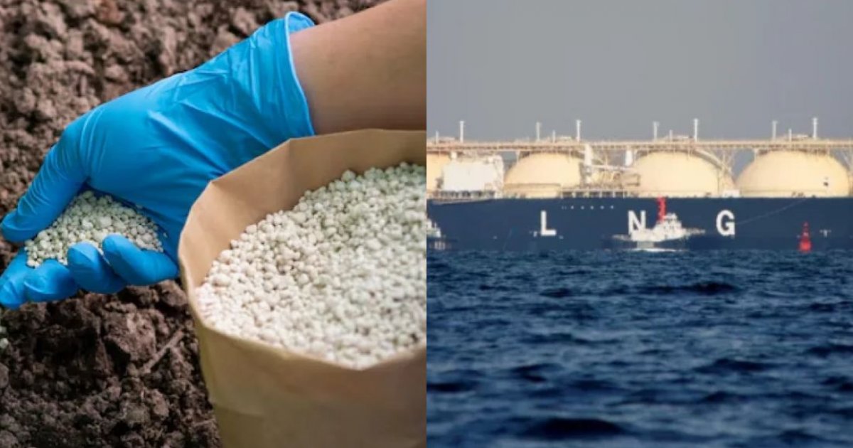 Govt to procure 1 cargo LNG, 1,05,000 MTs fertilizer