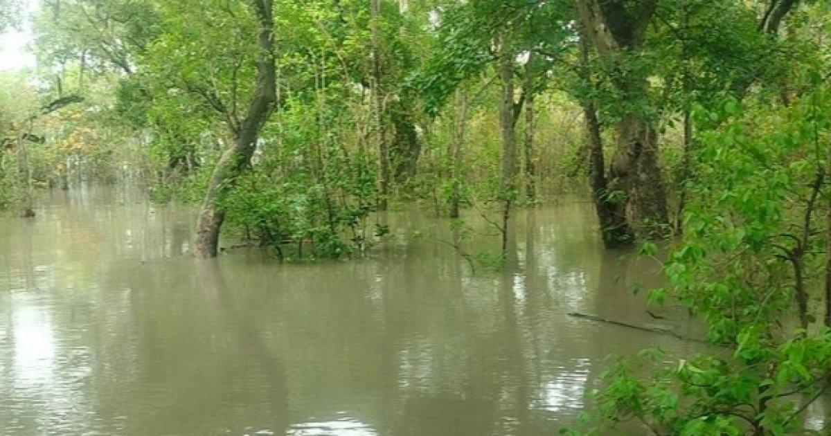 Tidal surge floods Sundarbans