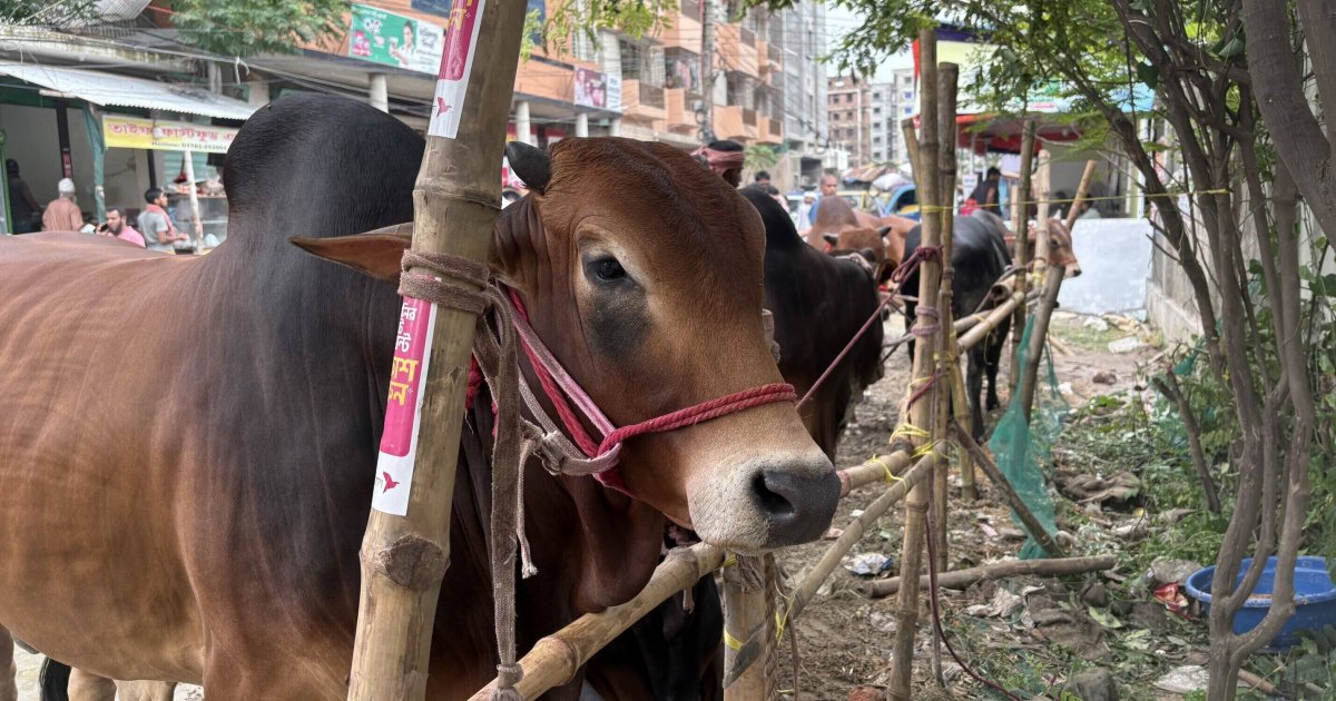 Shortage of butchers delays sacrificial slaughter on Eid Day in Dhaka
