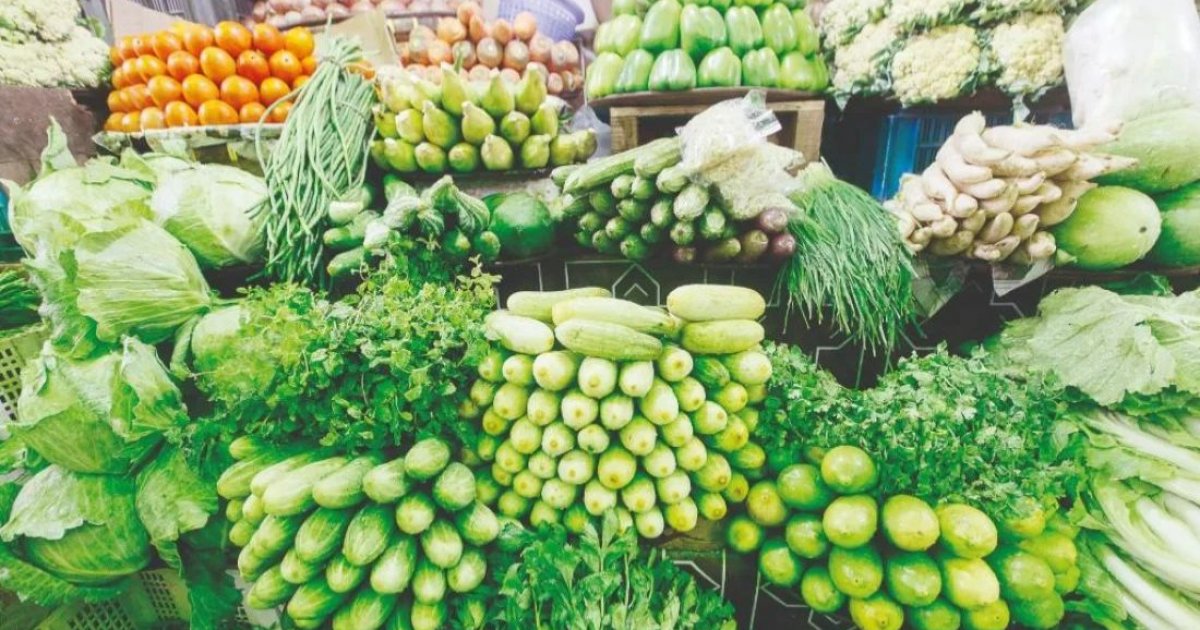 Early winter vegetable yield brings cheer to Rajshahi farmers