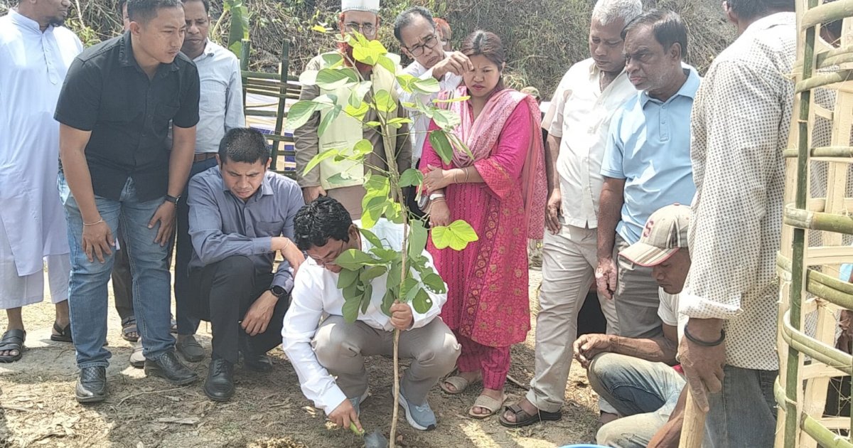 Rangamati road division to plant 41,000 trees