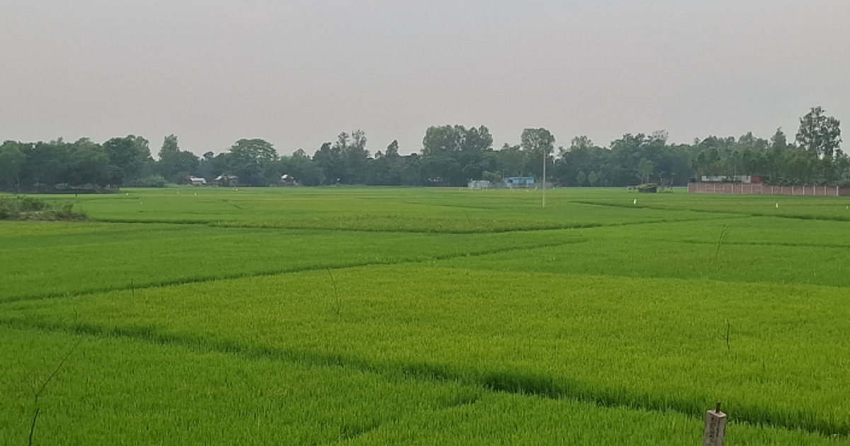 Load-shedding disrupts normal life in Tangail