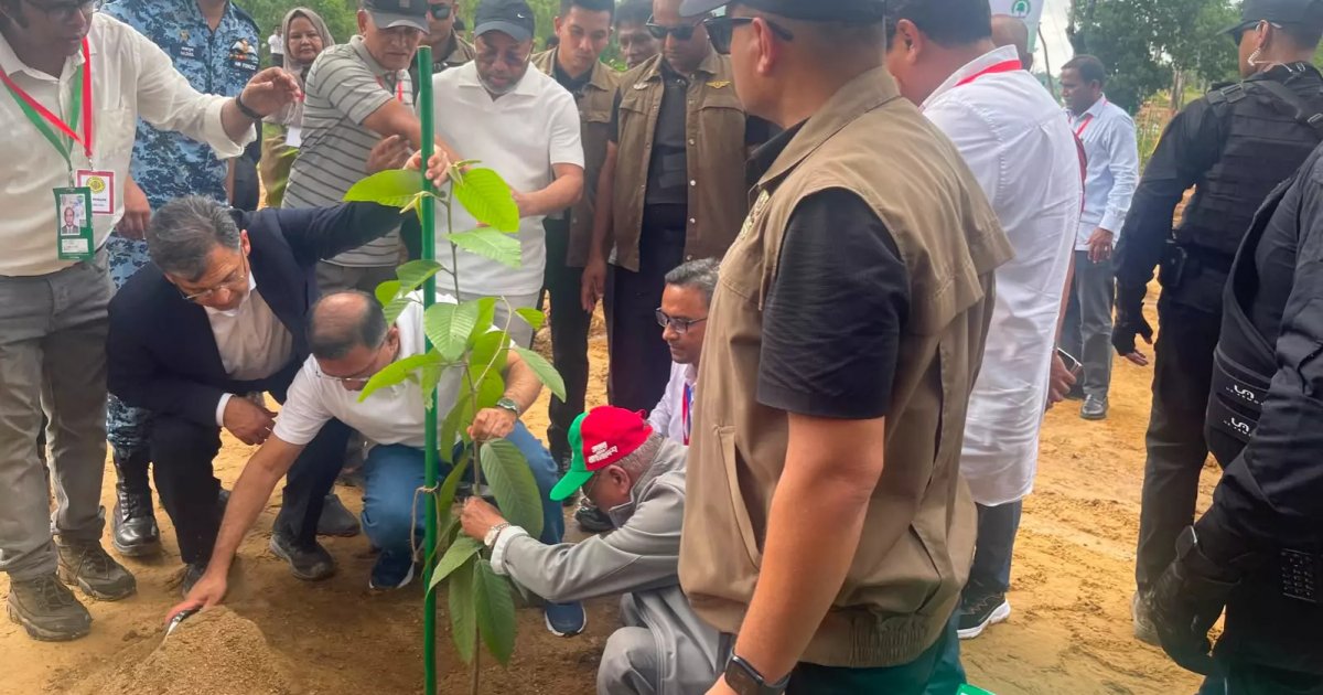 PM inaugurates nationwide program to plant 25 crore saplings