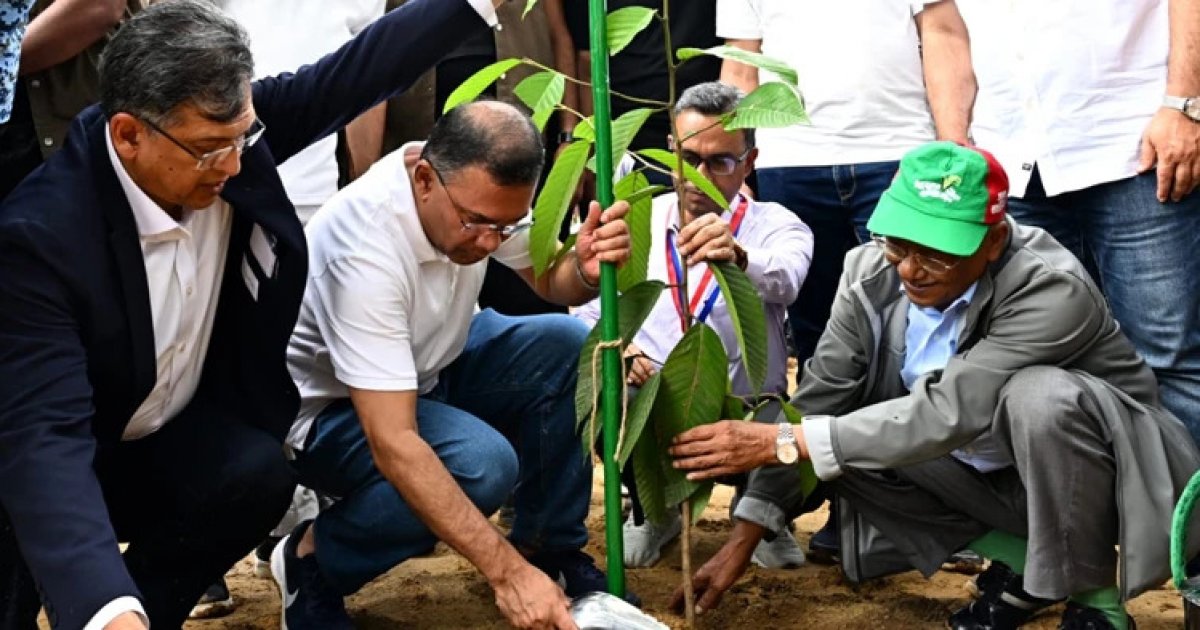 Plant one tree wherever possible, PM urges citizens