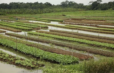 In pictures: Floating farming in the coastal districts