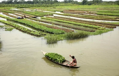 Bangladesh’s floating gardens - a global farming heritage