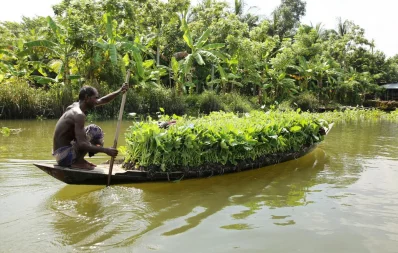 Bangladesh’s floating gardens - a global farming heritage