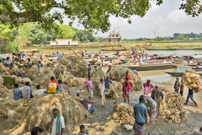 Bringing back the glory days of jute